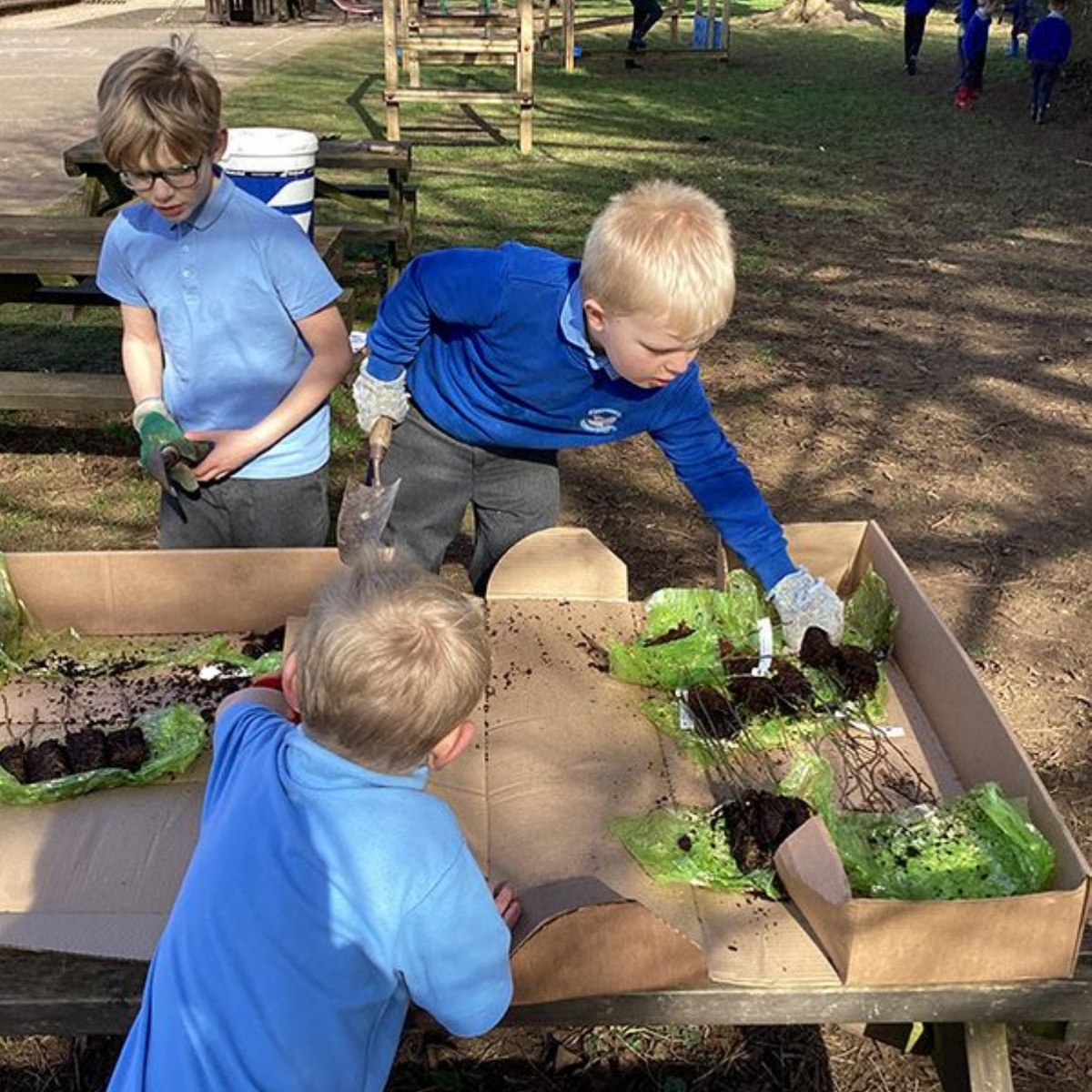 Holy Trinity Catholic School - Hedgerow Planting With Our Buddies